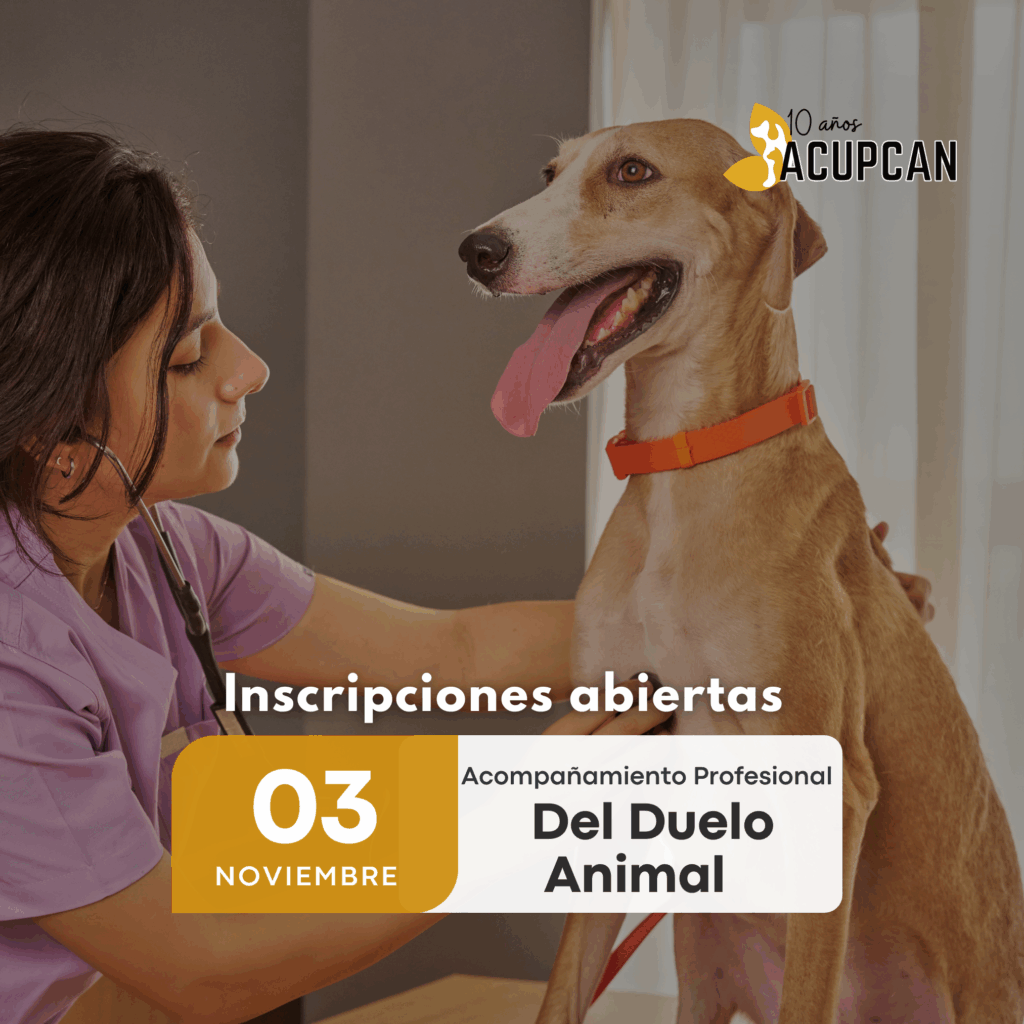 Acompañamiento del duelo animal - Acupcan